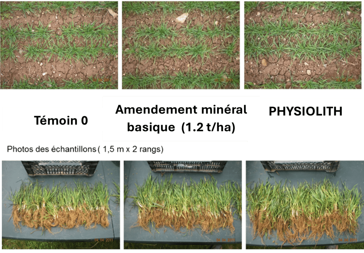 CALCIMER® l’amendement marin micronisé ultra performant | TIMAC AGRO France