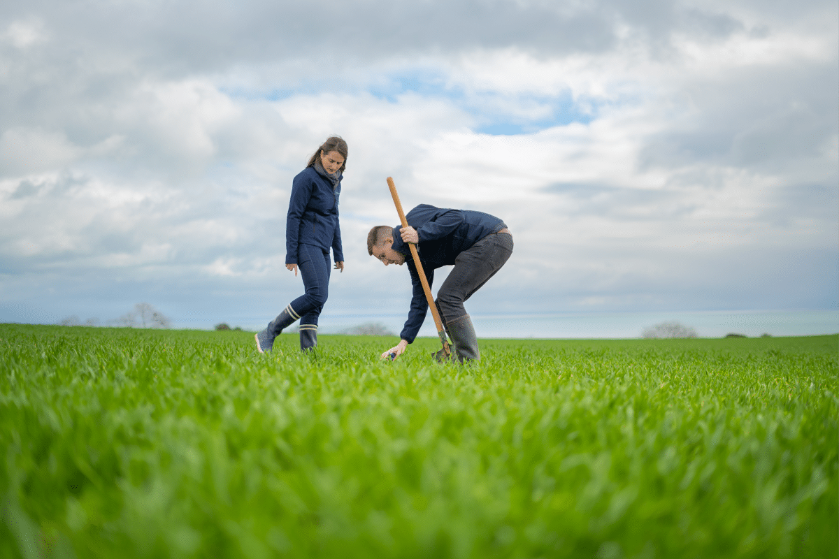 Produits nutrition végétale et production animale | TIMAC AGRO France